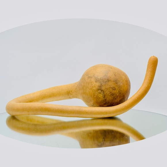 Hand Crafted | Office | Clean Dried Natural Gourd Arts Crafts Project ...